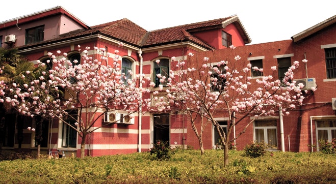 6 Reasons Why Shanghai's Sino-British College is the Perfect Location ...
