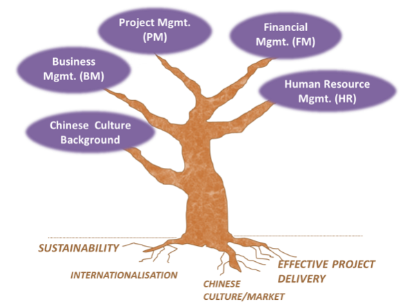 Introduction to Tsinghua University Master's in International ...